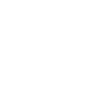 Geoneon | Logo Kit