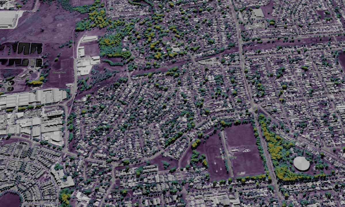 Geoneon | Vegetation Mapping