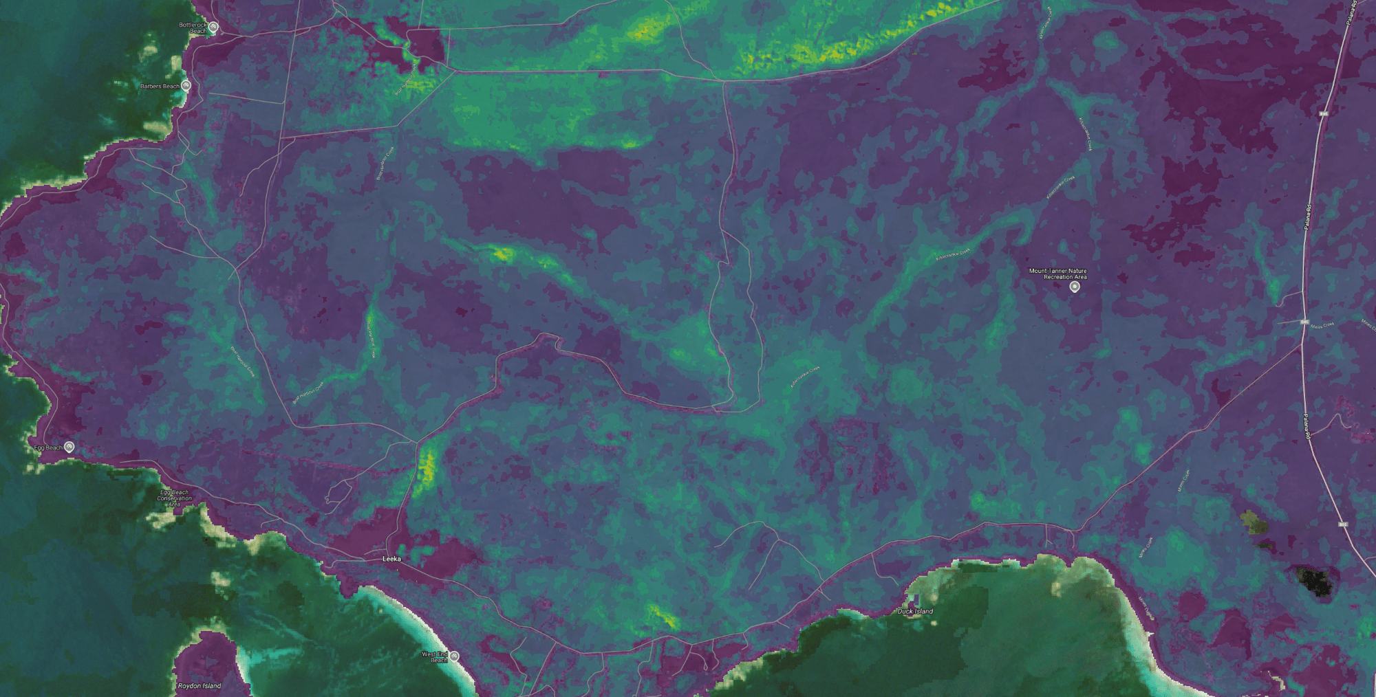 Tracking Vegetation Change: Geoneon’s Mapping of Tasmania’s Vegetation