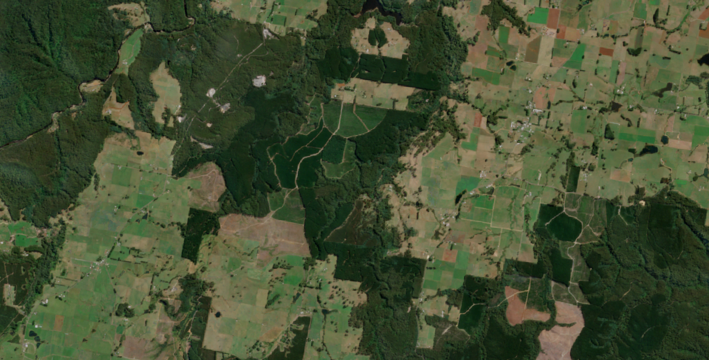 Tracking Vegetation Change: Geoneon’s Mapping of Tasmania’s Vegetation