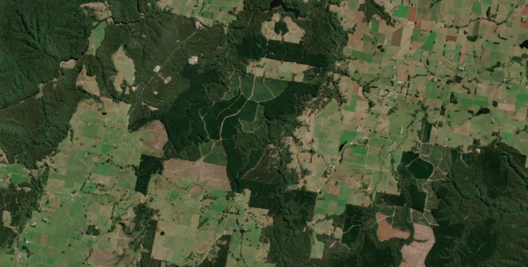 Tracking Vegetation Change: Geoneon’s Mapping of Tasmania’s Vegetation