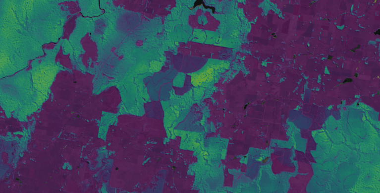 Tracking Vegetation Change: Geoneon’s Mapping of Tasmania’s Vegetation