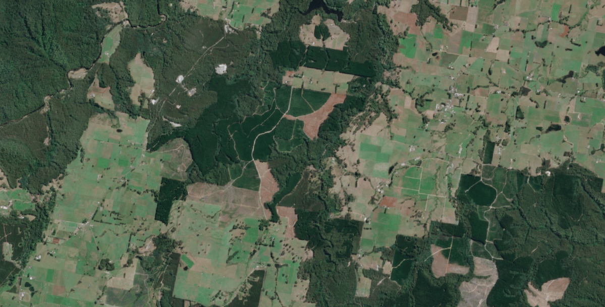 Tracking Vegetation Change: Geoneon’s Mapping of Tasmania’s Vegetation