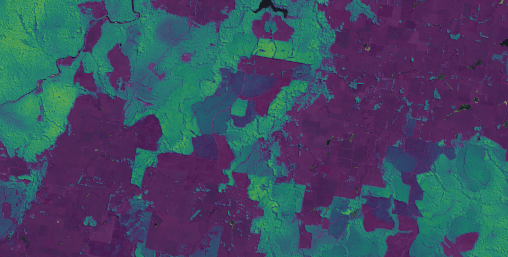 Tracking Vegetation Change: Geoneon’s Mapping of Tasmania’s Vegetation